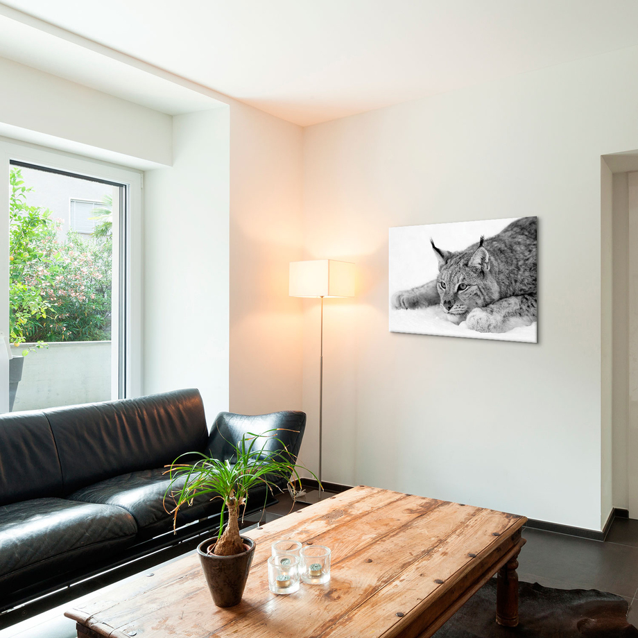 PhotoINC Studio - Striking Nature Photography - Touch of Modern