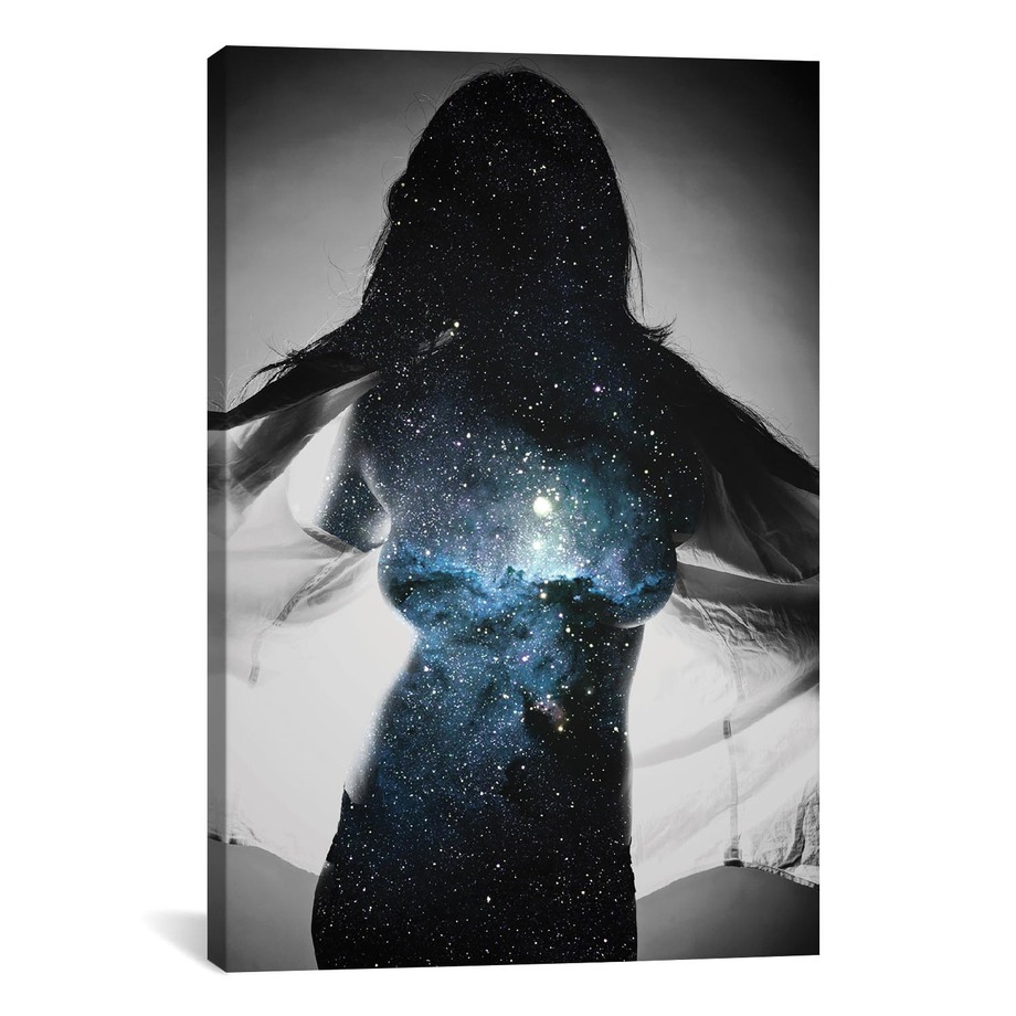 Taylor Allen - Provocative Composite Canvases - Touch of Modern