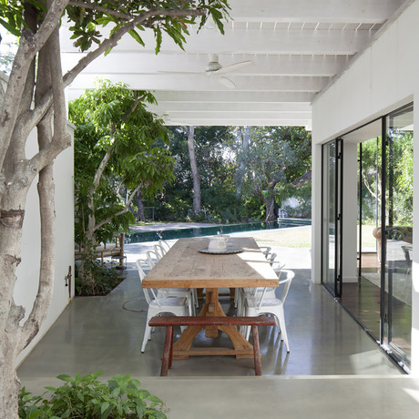 Star Fans - Propeller Ceiling Fans - Touch of Modern