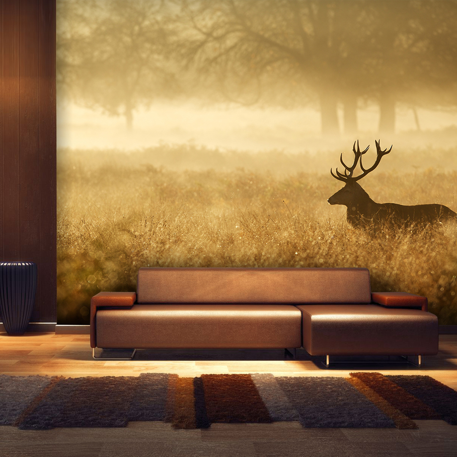 1 Wall Murals - Wake Up Your Walls - Touch of Modern