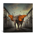 Butterphant (18"W x 18"H x 0.75"D) - Surrealist Photography - Touch of ...