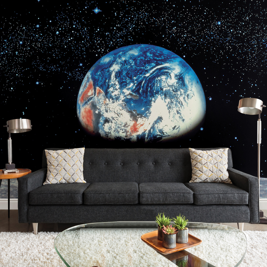 Brewster Home Fashions - Photorealistic Wall Murals - Touch of Modern