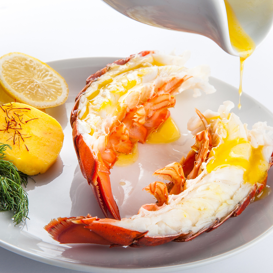 Black Point Seafood - Live + Frozen Maine Lobster - Touch of Modern