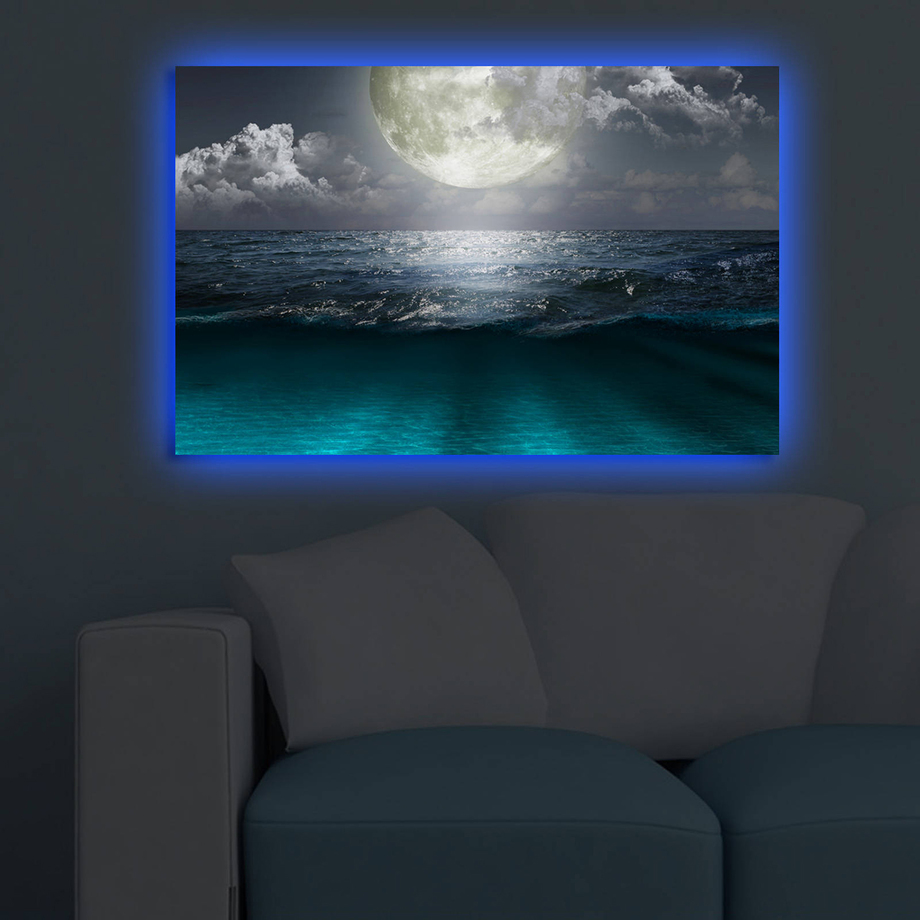 LED Canvas Art - Nature Inspired Illuminated Art - Touch of Modern