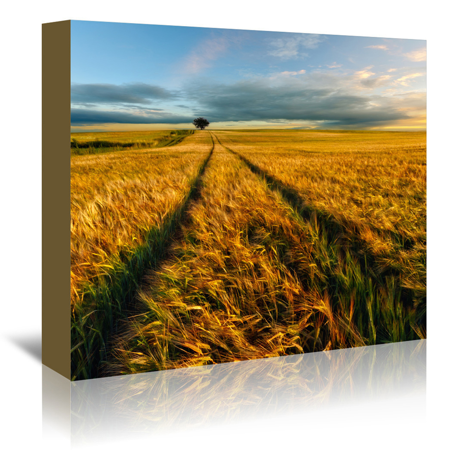 Vibrant Landscape Photography - Museum Worthy Canvas Prints - Touch of ...