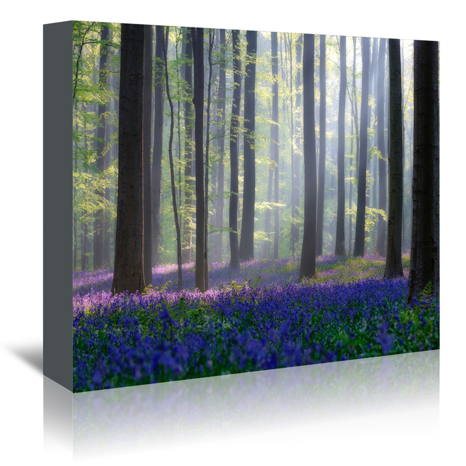 Vibrant Landscape Photography - Museum Worthy Canvas Prints - Touch of ...
