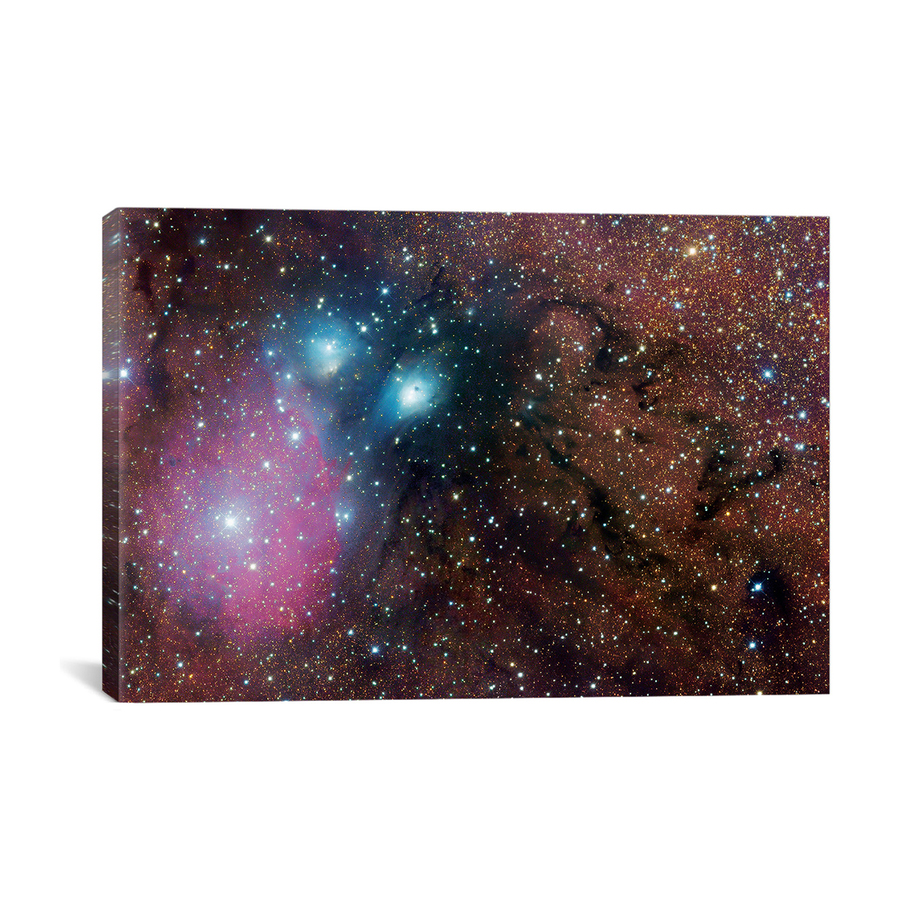 Robert Gendler - Intergalactic Images on Canvas - Touch of Modern