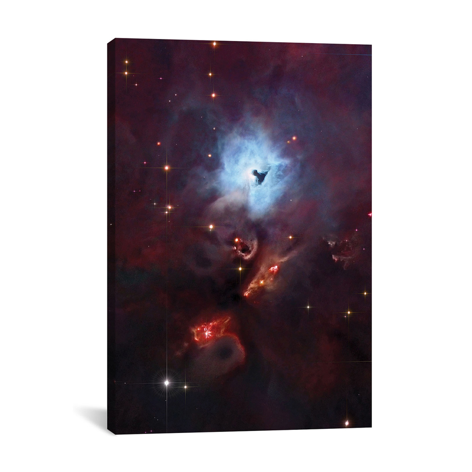 Robert Gendler - Intergalactic Images on Canvas - Touch of Modern