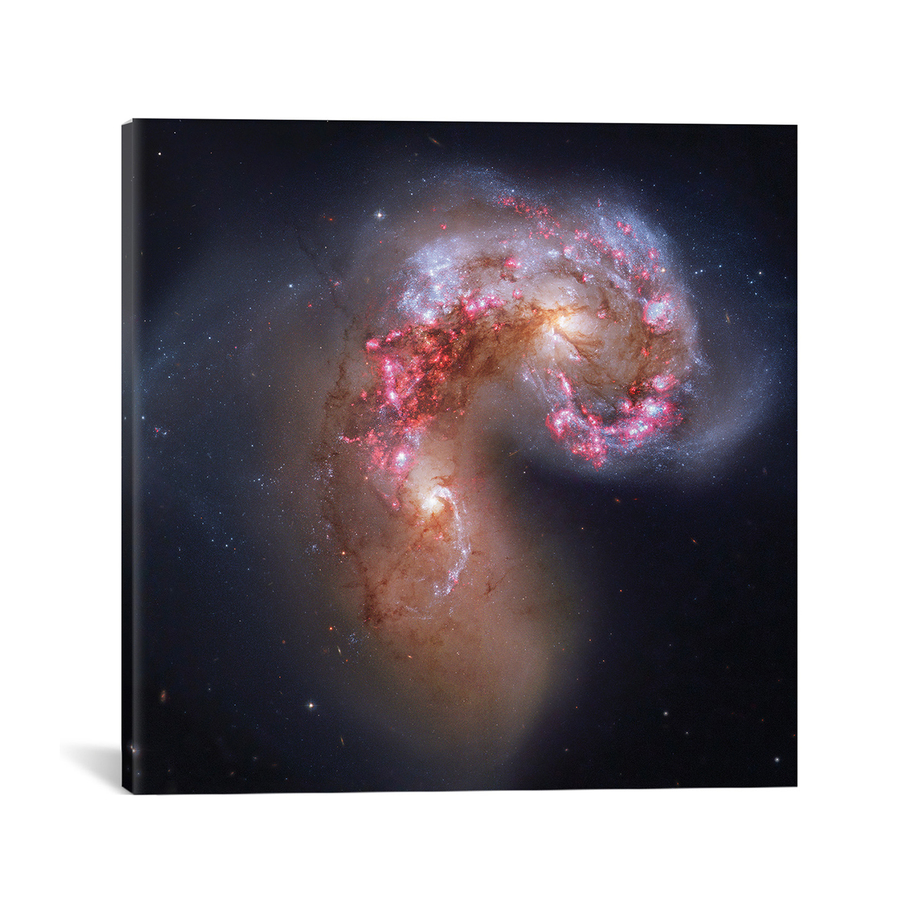 Robert Gendler - Intergalactic Images on Canvas - Touch of Modern
