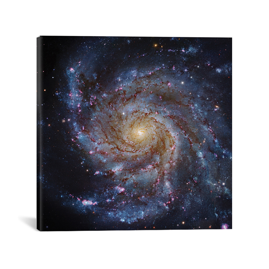 Robert Gendler - Intergalactic Images on Canvas - Touch of Modern