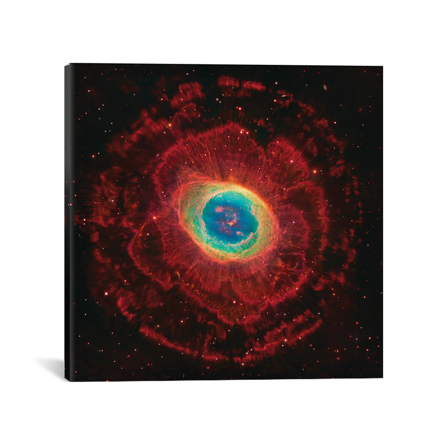 Robert Gendler - Intergalactic Images on Canvas - Touch of Modern