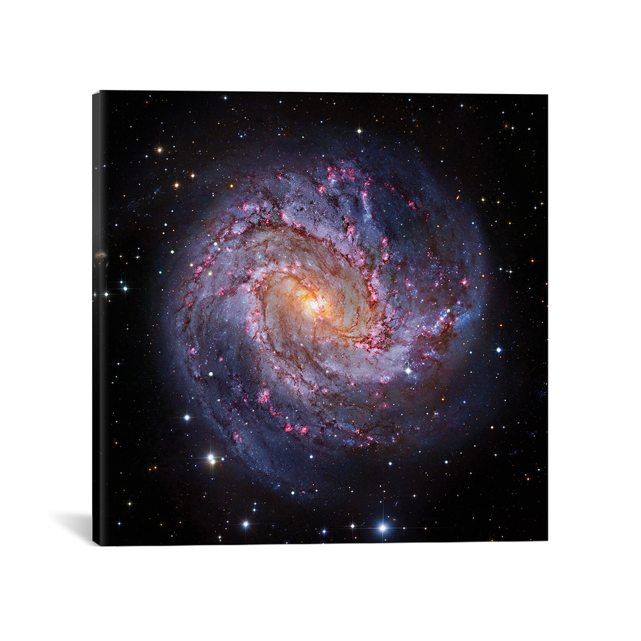 Robert Gendler - Intergalactic Images on Canvas - Touch of Modern