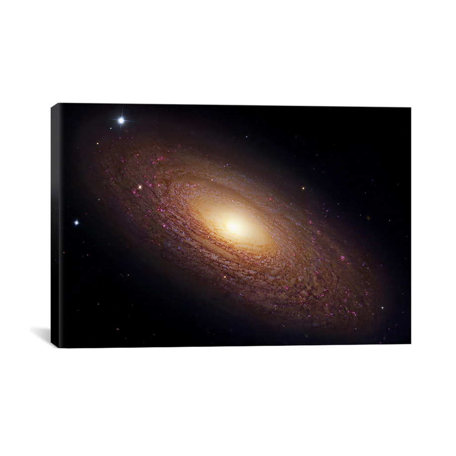 Robert Gendler - Intergalactic Images on Canvas - Touch of Modern