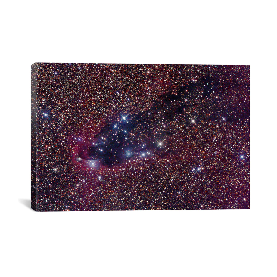 Robert Gendler - Intergalactic Images on Canvas - Touch of Modern