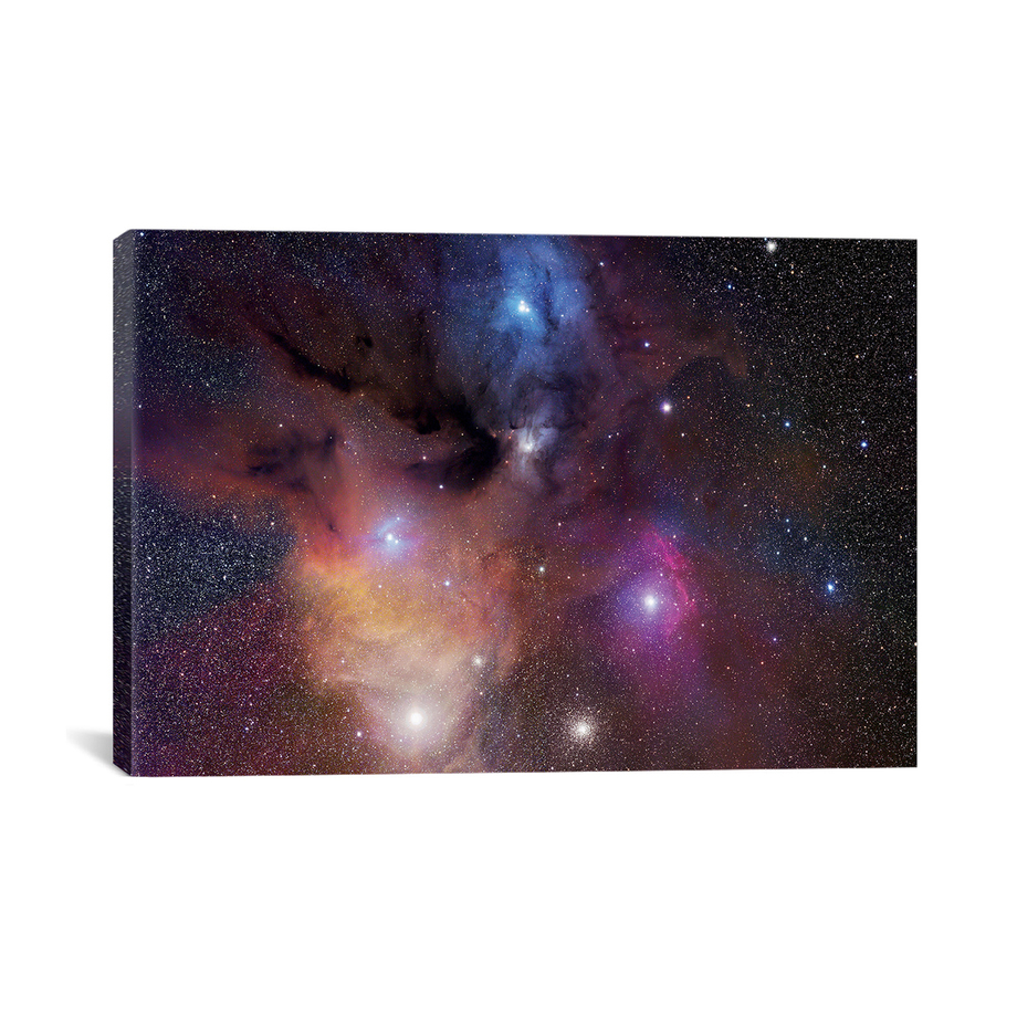 Robert Gendler - Intergalactic Images on Canvas - Touch of Modern
