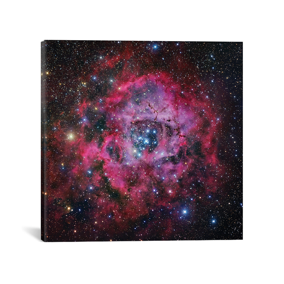 Robert Gendler - Intergalactic Images on Canvas - Touch of Modern