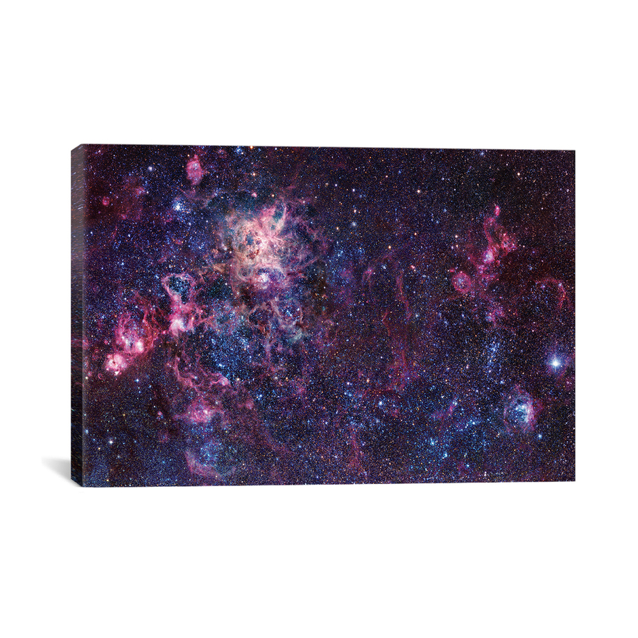 Robert Gendler - Intergalactic Images on Canvas - Touch of Modern