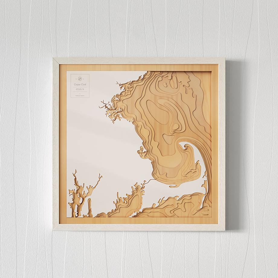 Pangea Maps - Contour Wood Art - Touch of Modern