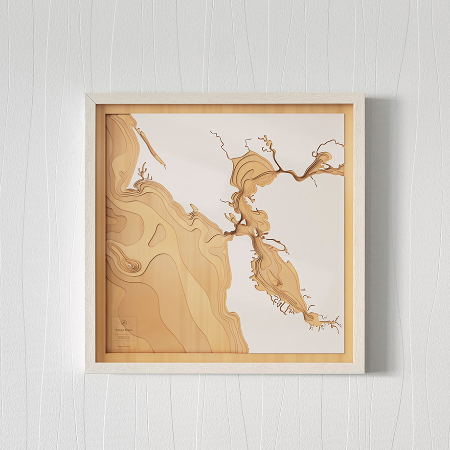Pangea Maps - Contour Wood Art - Touch of Modern