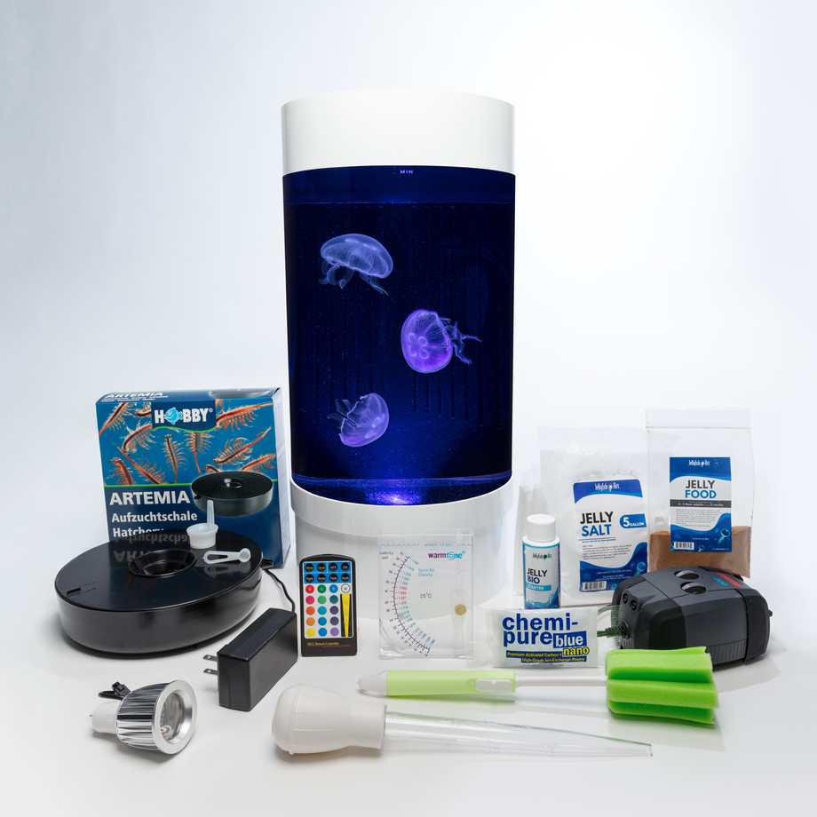 Jellyfish Art - Cylindrical Jellyfish Aquariums - Touch of Modern