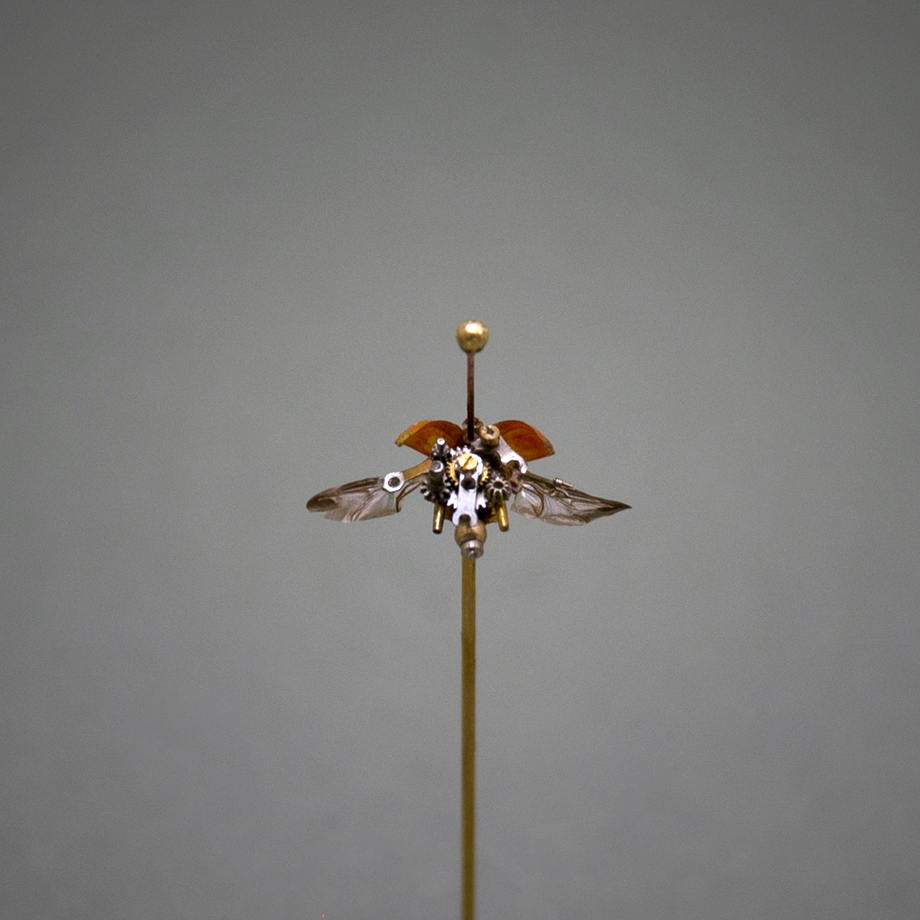 Insect Lab - Mechanically Customized Insect Displays - Touch of Modern