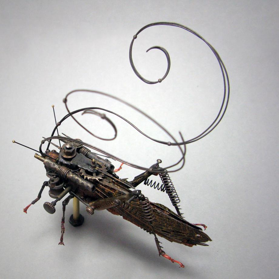 Insect Lab - Mechanically Customized Insect Displays - Touch of Modern