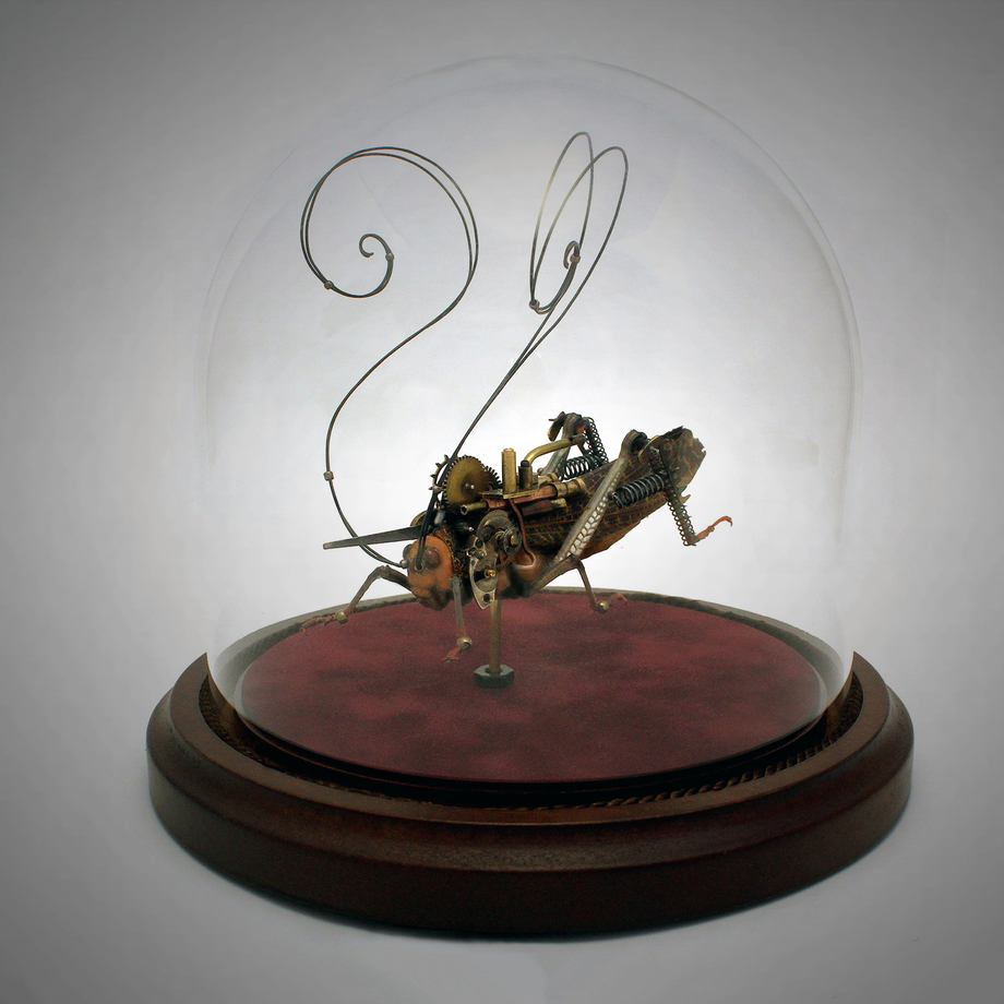 Insect Lab - Mechanically Customized Insect Displays - Touch of Modern
