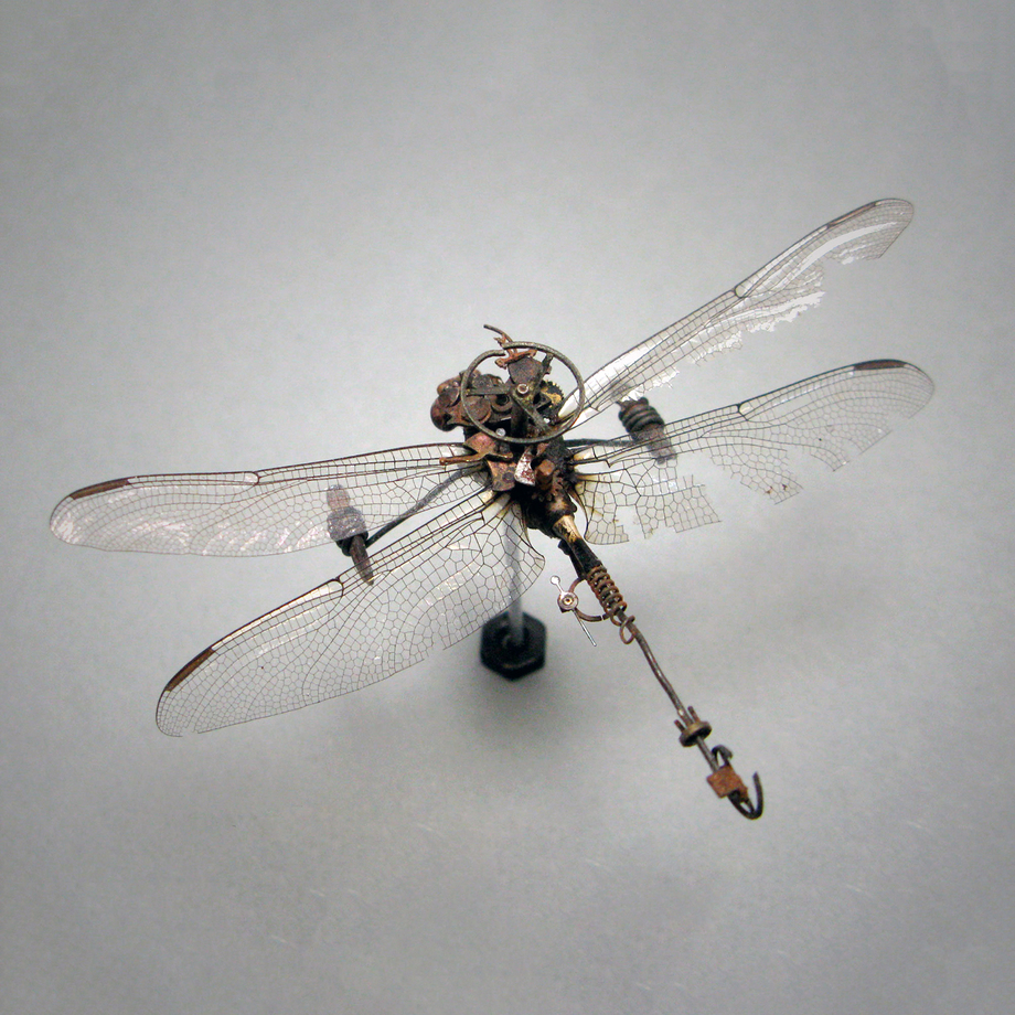 Insect Lab - Mechanically Customized Insect Displays - Touch of Modern