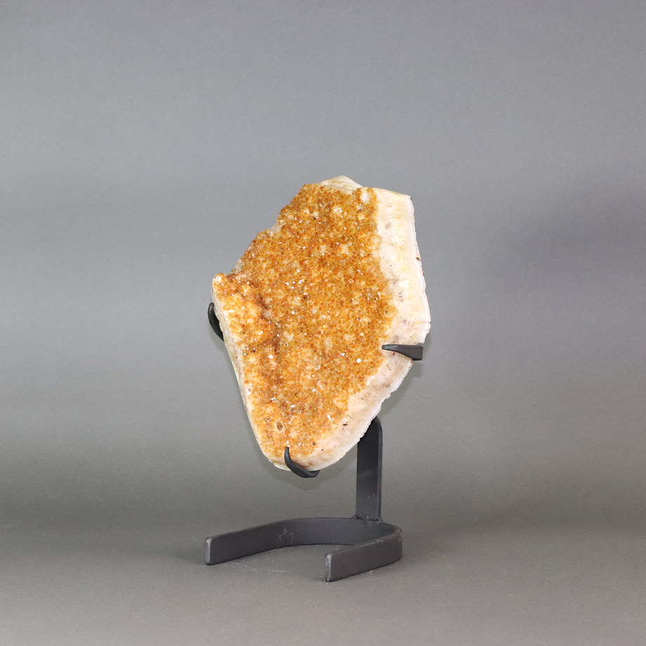 Fossil Realm - Incredible Fossils And Gemstones - Touch of Modern