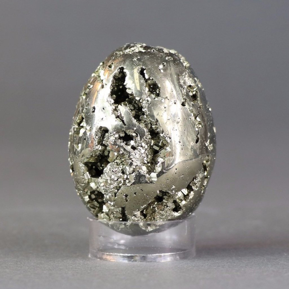 Fossil Realm - Incredible Fossils And Gemstones - Touch of Modern