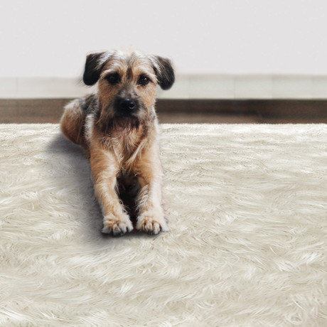 RUGGABLE - Machine Washable Area Rugs - Touch of Modern