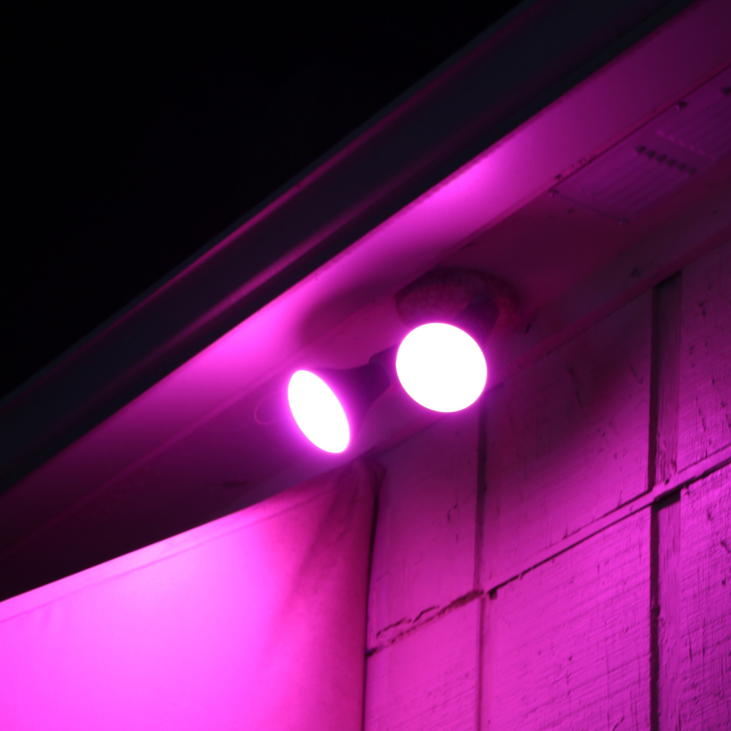 Outdoor Smart Bulb - ilumi - Touch of Modern