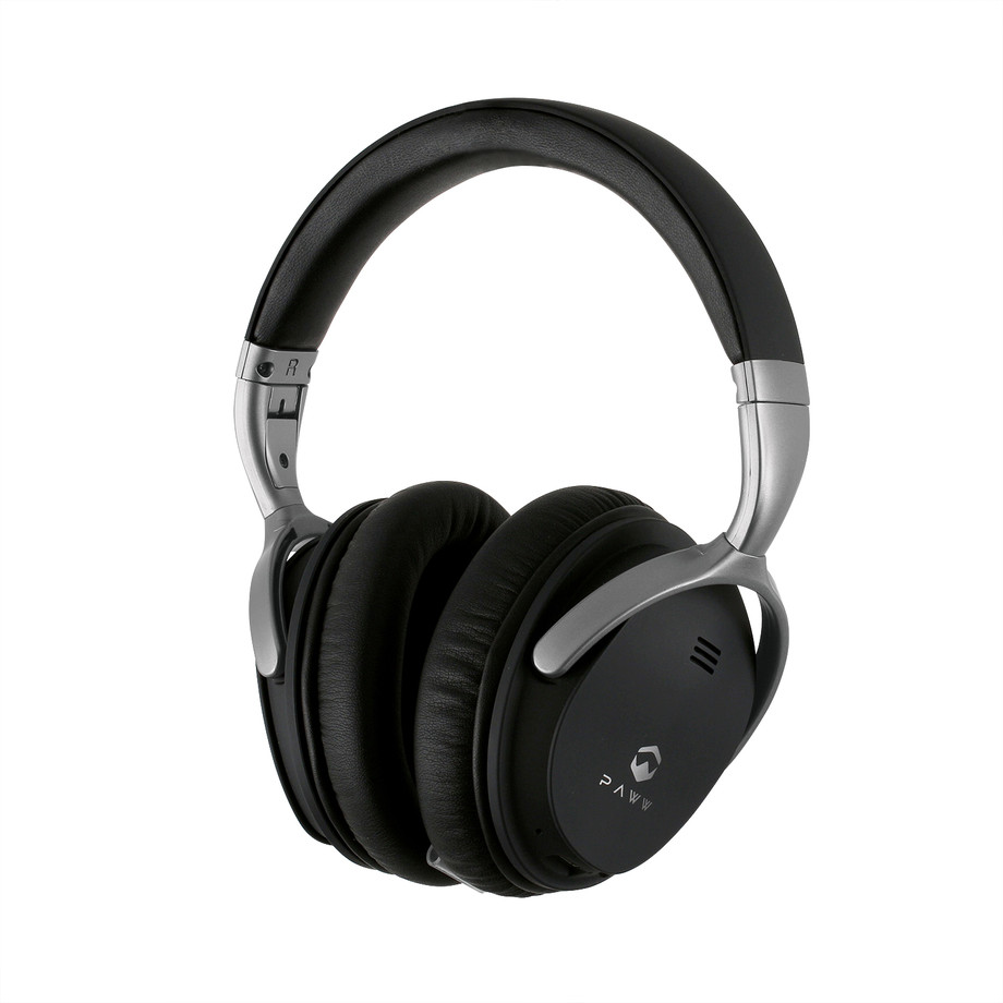 Paww Bluetooth Headphones - Exquisite Design, Precision Engineering ...