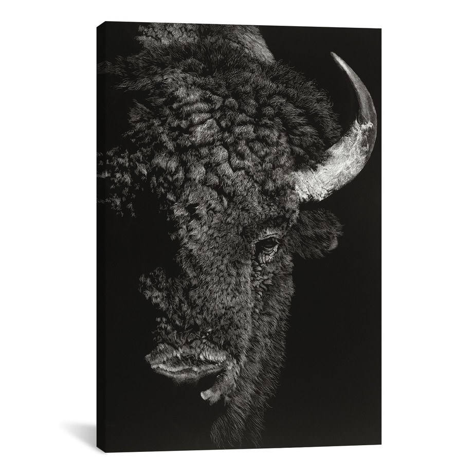 Grayscale Animal Portraits - The Power of Nature - Touch of Modern
