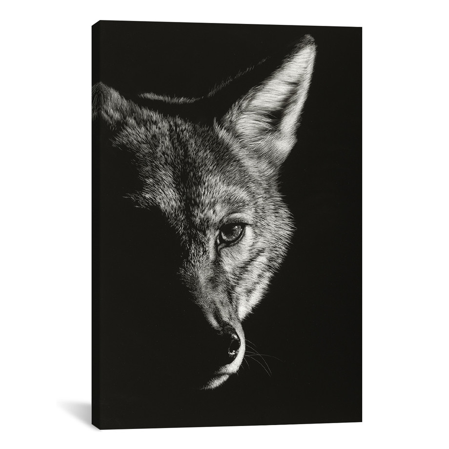 Grayscale Animal Portraits - The Power of Nature - Touch of Modern
