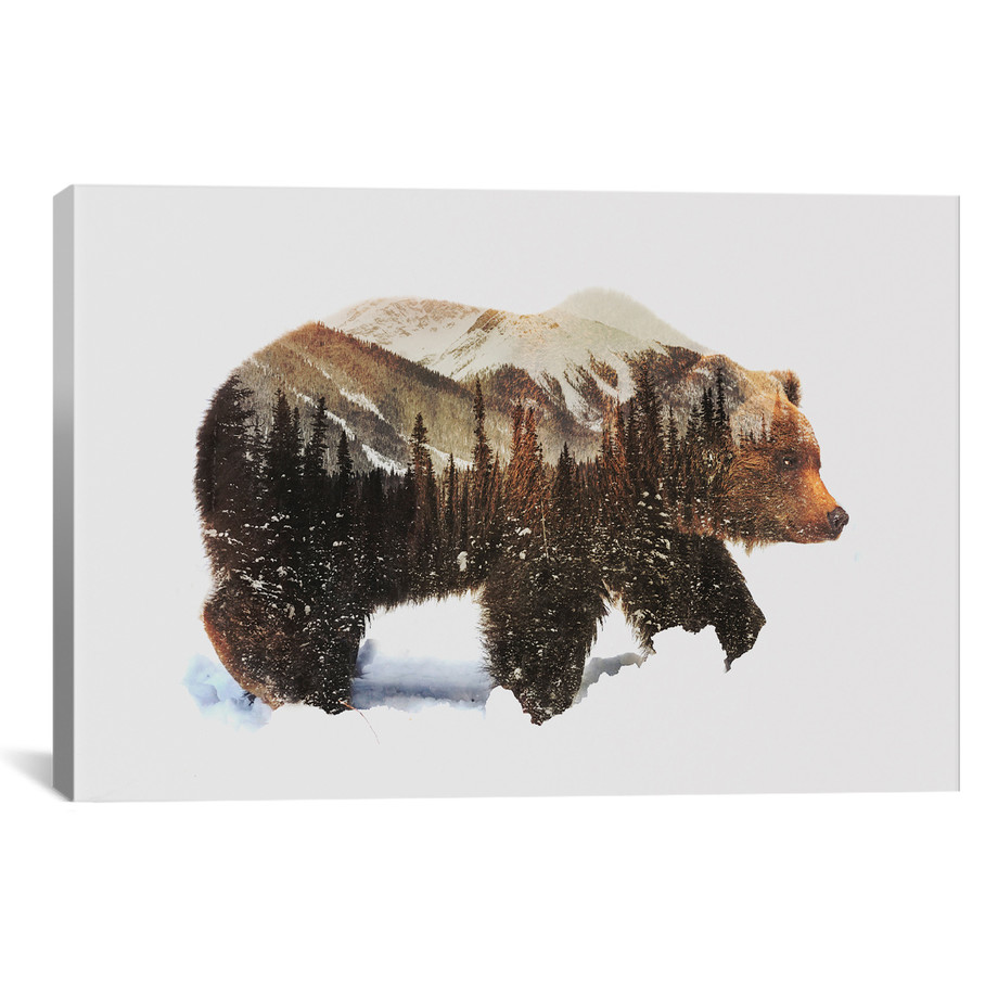 Andreas Lie - Wild Art on Canvas - Touch of Modern