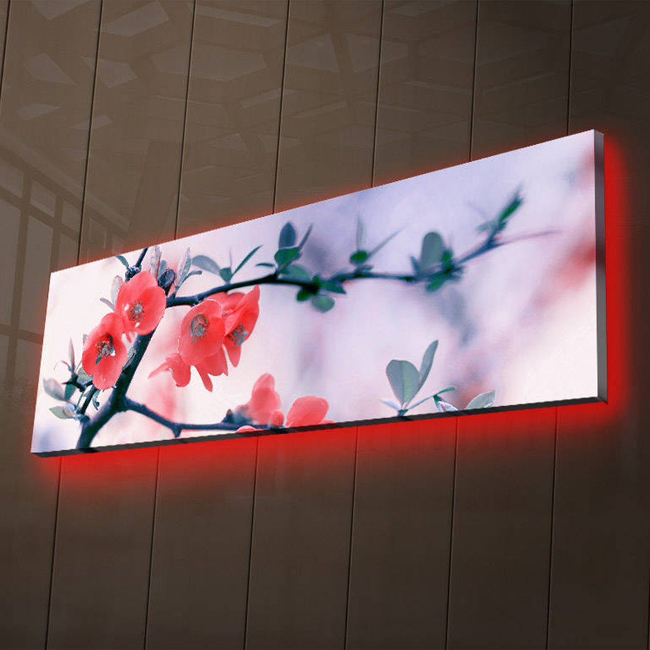 Wallity - Backlit LED Canvas Prints - Touch of Modern