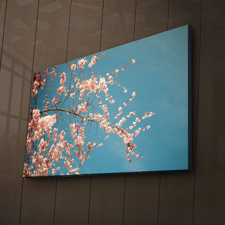 Wallity - Backlit LED Canvas Prints - Touch of Modern