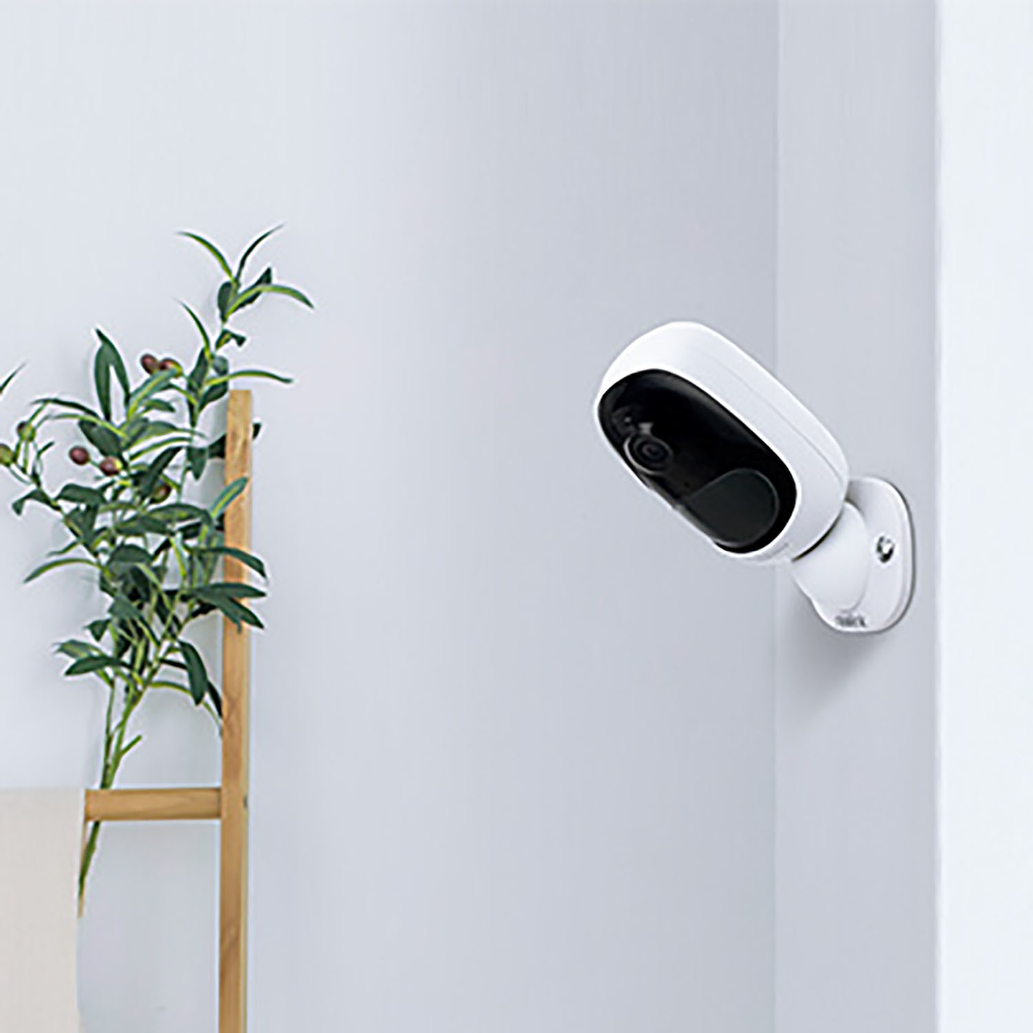 Argus 2 - Argus 2 - Touch of Modern