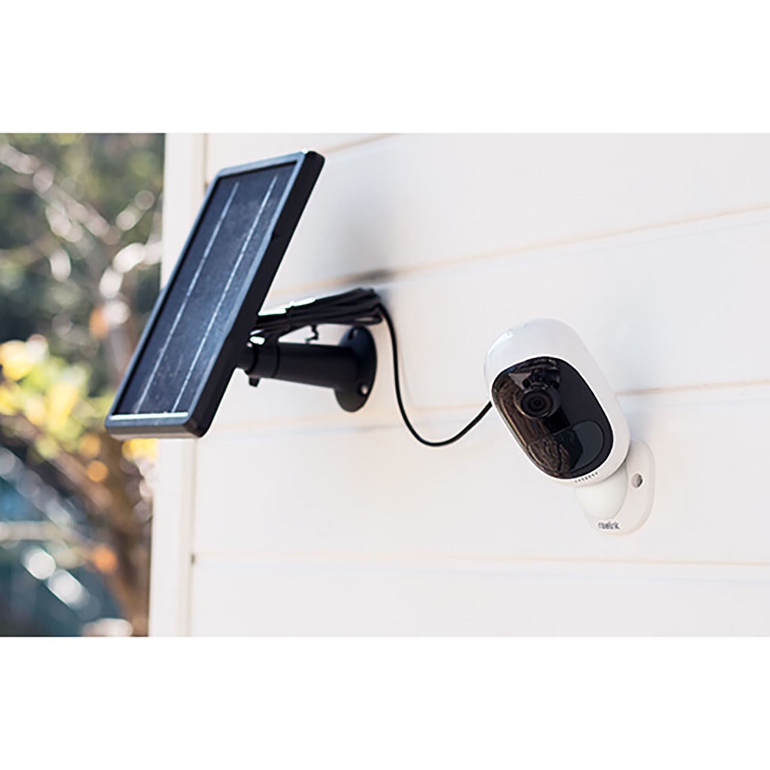 Argus 2 - Argus 2 - Touch of Modern