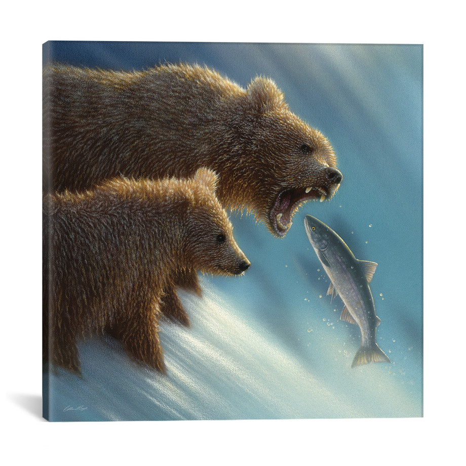 Collin Bogle - Striking Wildlife Portraits - Touch of Modern