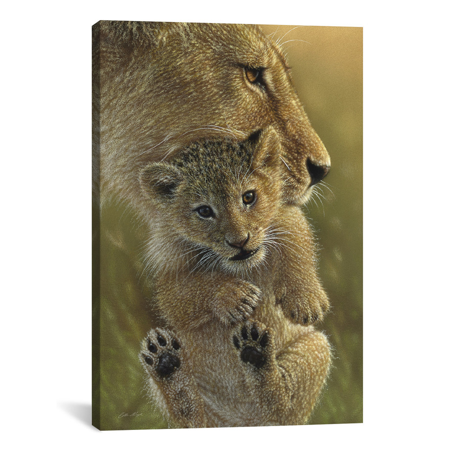 Collin Bogle - Striking Wildlife Portraits - Touch of Modern