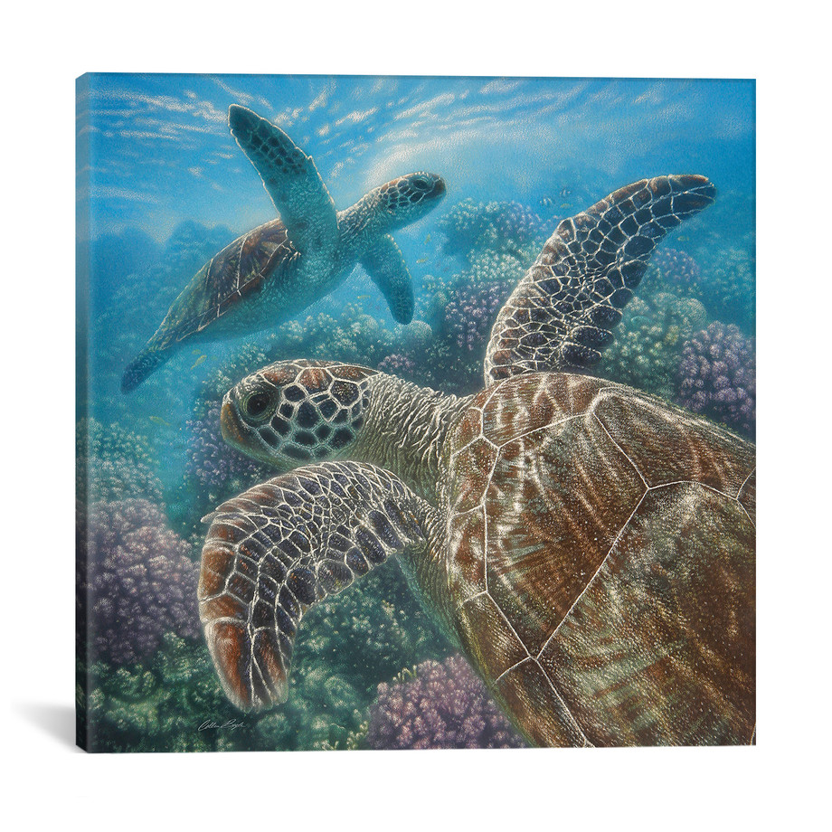 Collin Bogle - Striking Wildlife Portraits - Touch of Modern