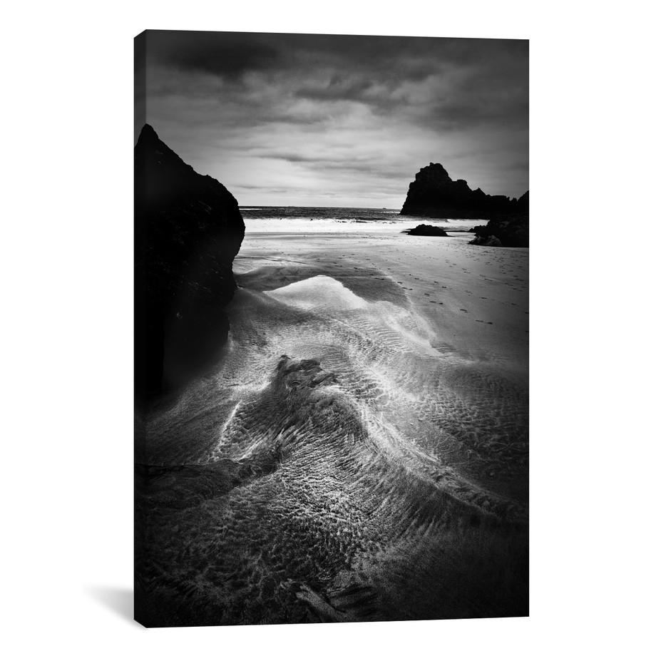 Dorit Fuhg - Greyscale Nature Photography - Touch of Modern