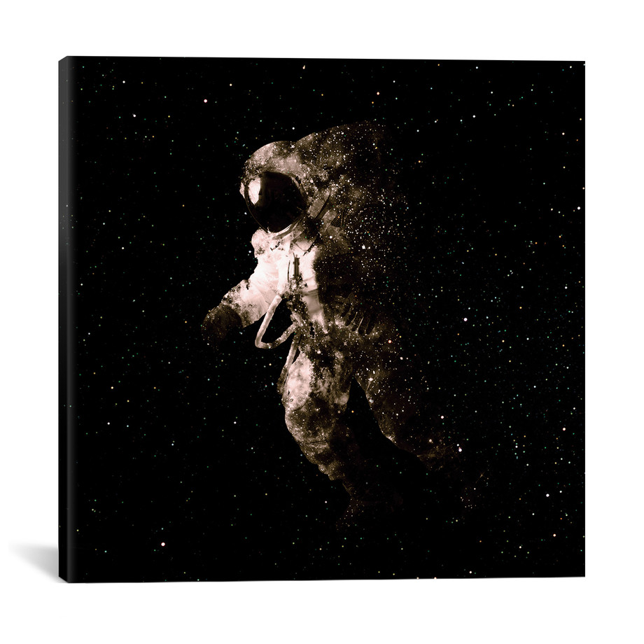 Andreas Lie - Wild Art on Canvas - Touch of Modern