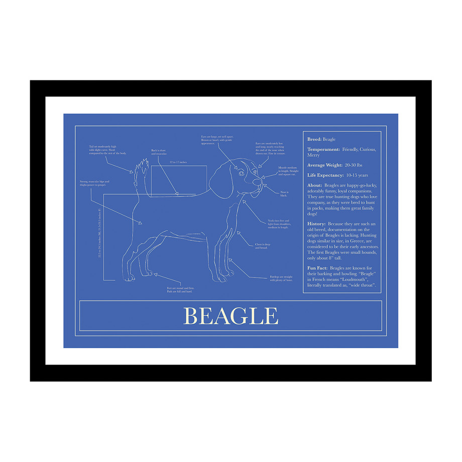 Dog Blueprints - The Makings Of Man's Best Friend - Touch of Modern