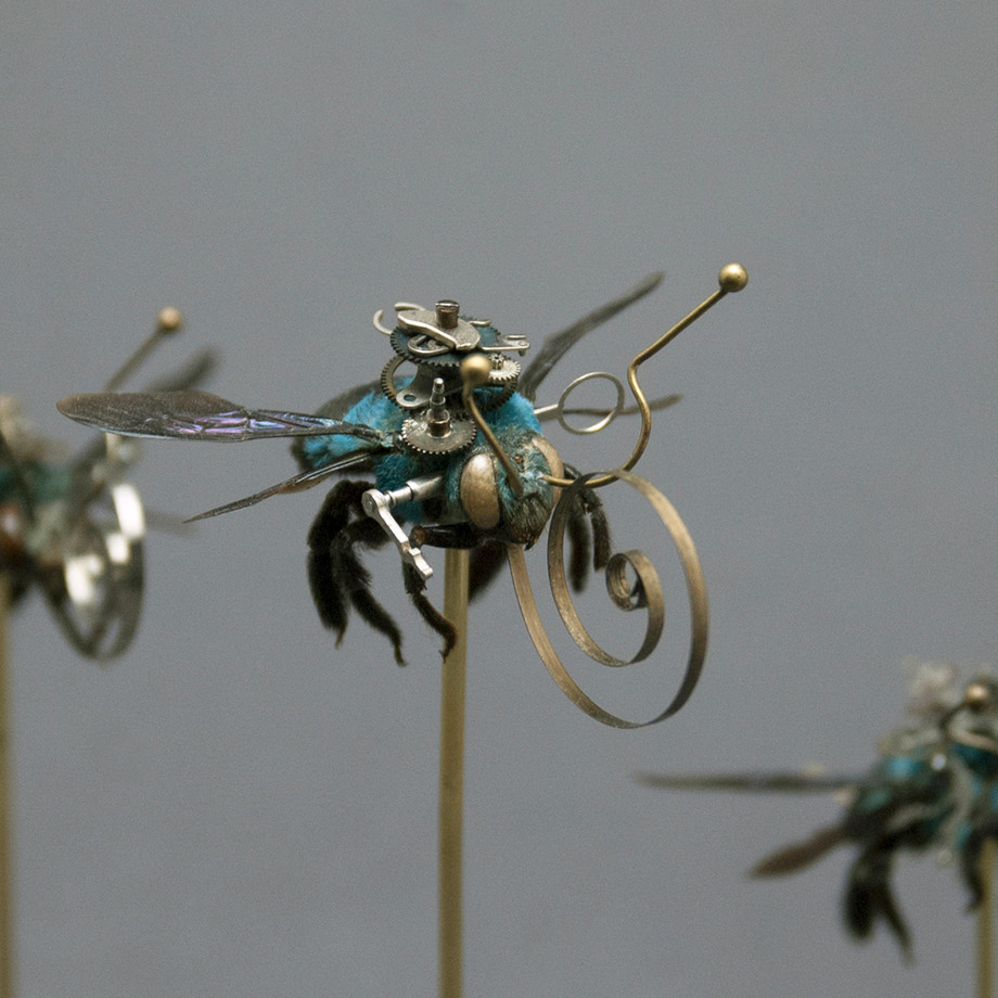 Insect Lab - Mechanical Insect Sculptures - Touch of Modern