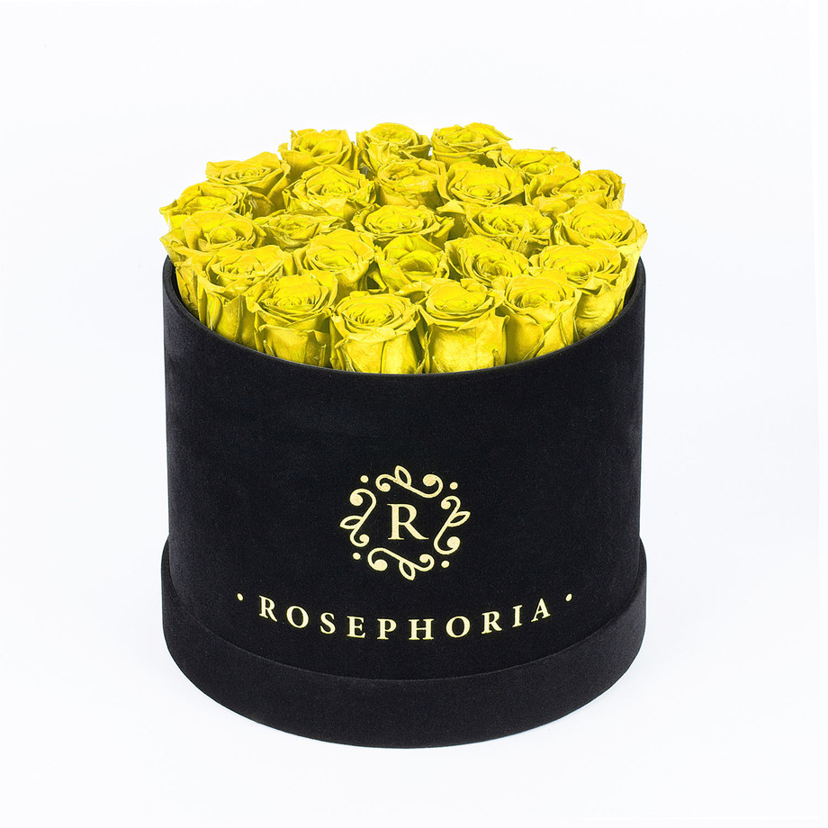 ROSEPHORIA - Everlasting Roses - Touch of Modern