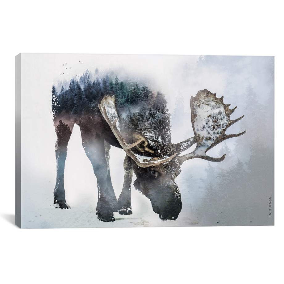 Paul Haag - Double Exposure Canvas Prints - Touch of Modern