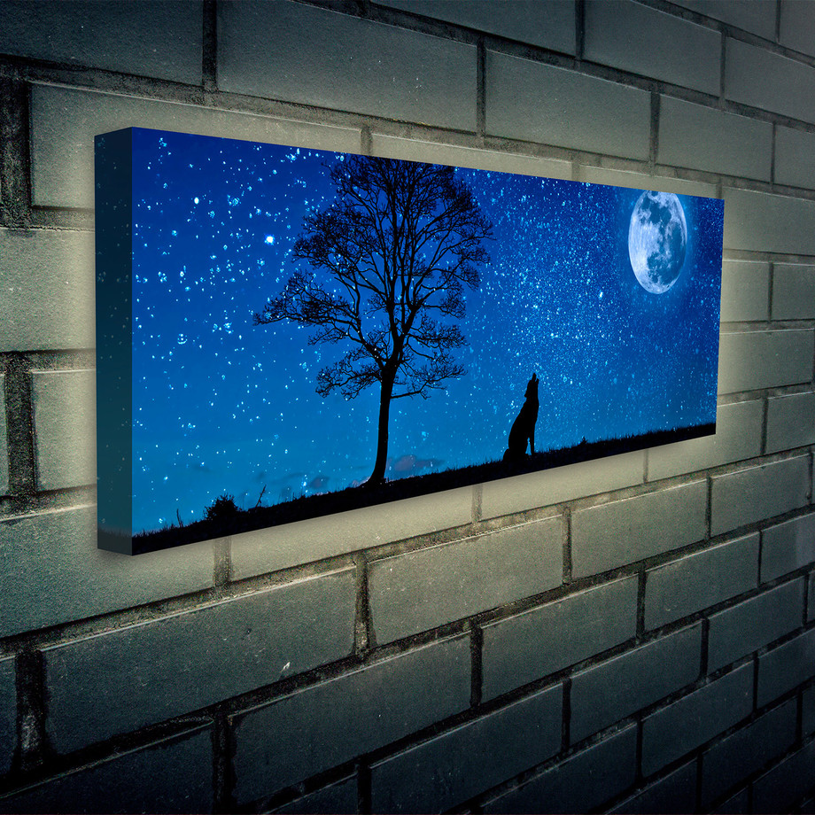ModernDek - LED Artwork - Touch of Modern
